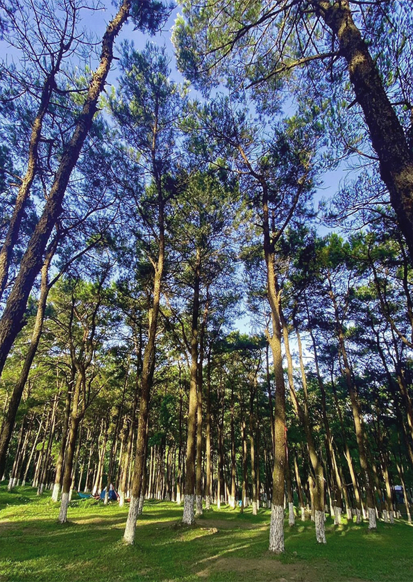 Ba Vi National Park - Bird watching full day tour from Hanoi